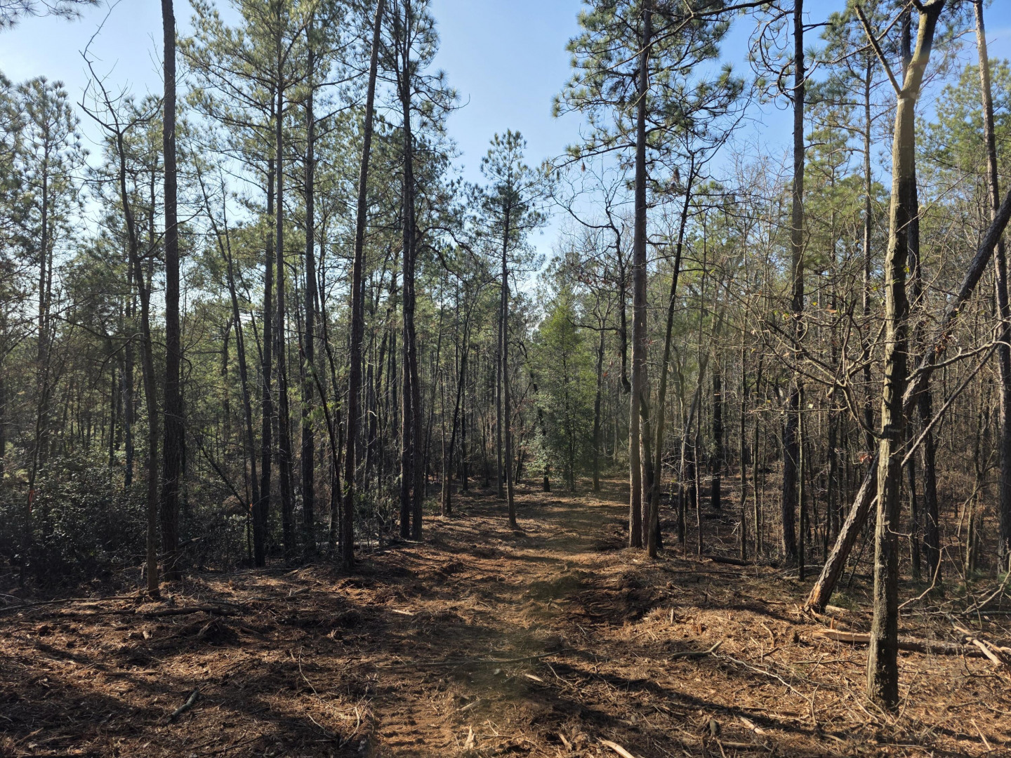 5a Berry Lane, Beech Island, SC | Sea Glass Florida Properties