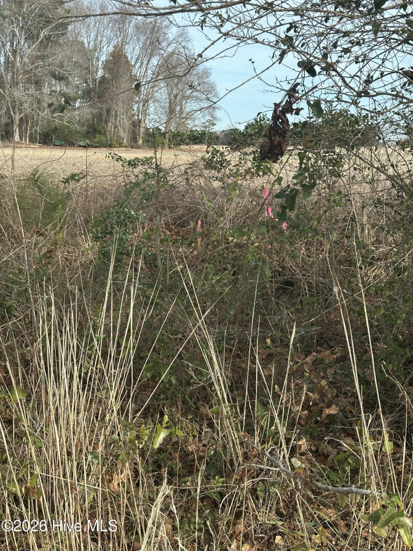 2 Fisher Landing Road, Jarvisburg, NC | Sea Glass Florida Properties