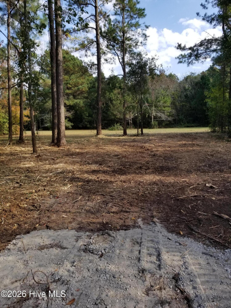 0 2 Joans Haven Drive, Newport, NC | Sea Glass Florida Properties