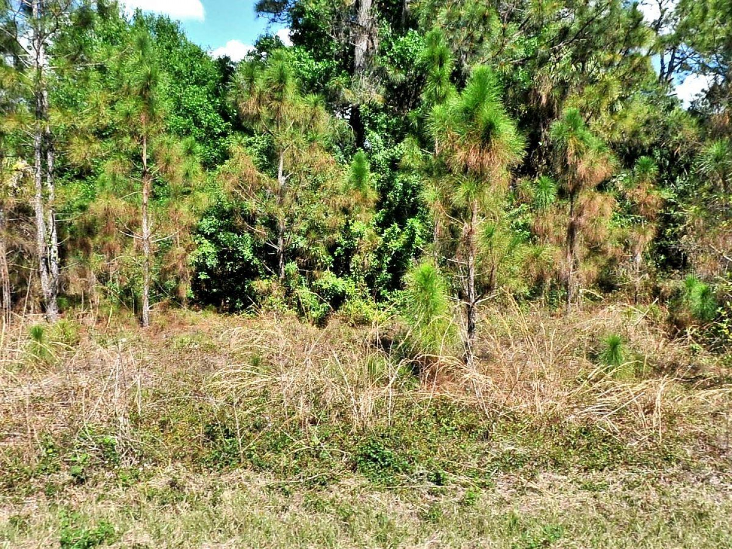 Bignay Road, North Port, FL | Sea Glass Properties